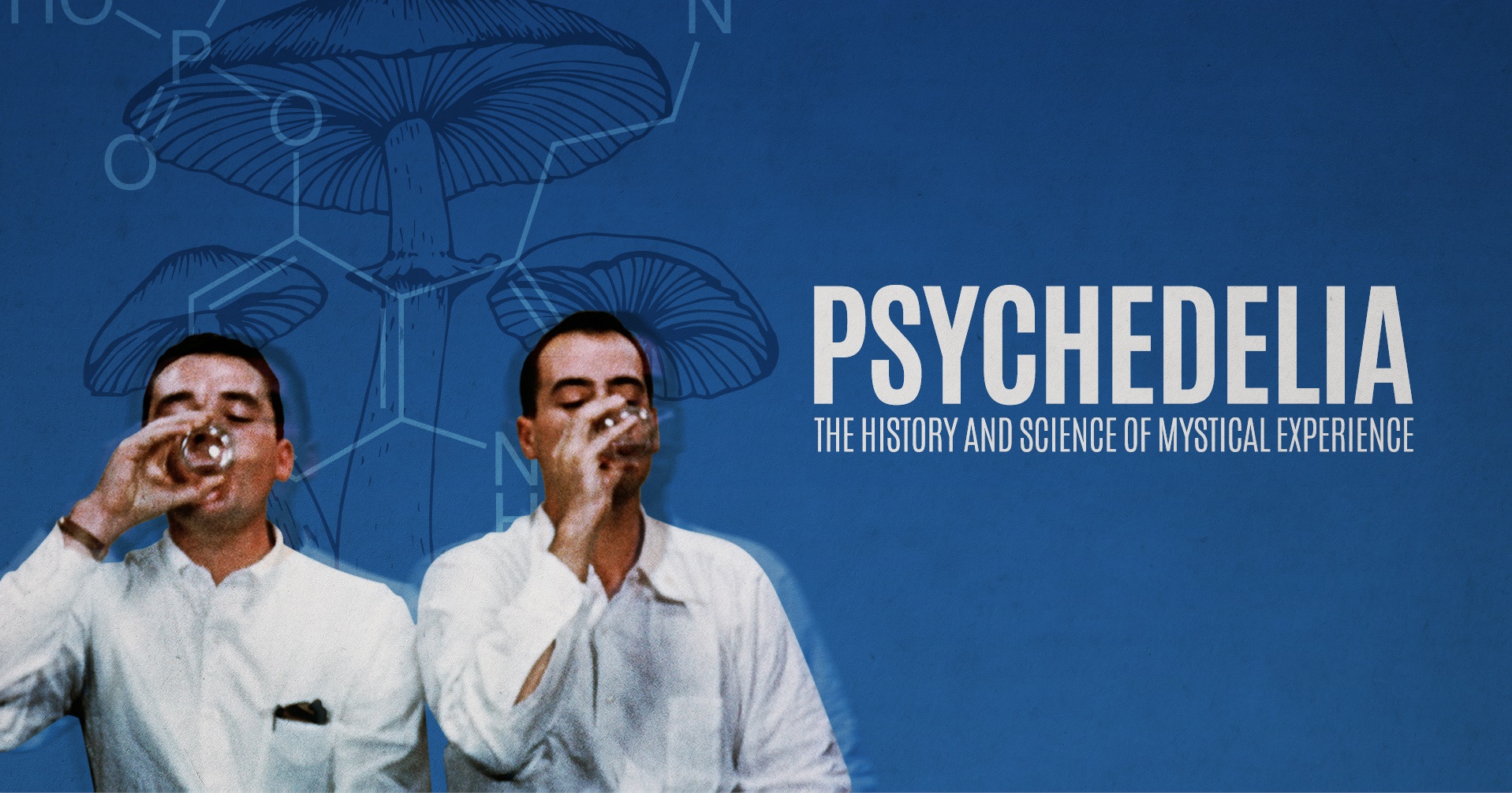 PSYCHEDELIA: THE HISTORY AND SCIENCE OF MYSTICAL EXPERIENCE (Q+A ...