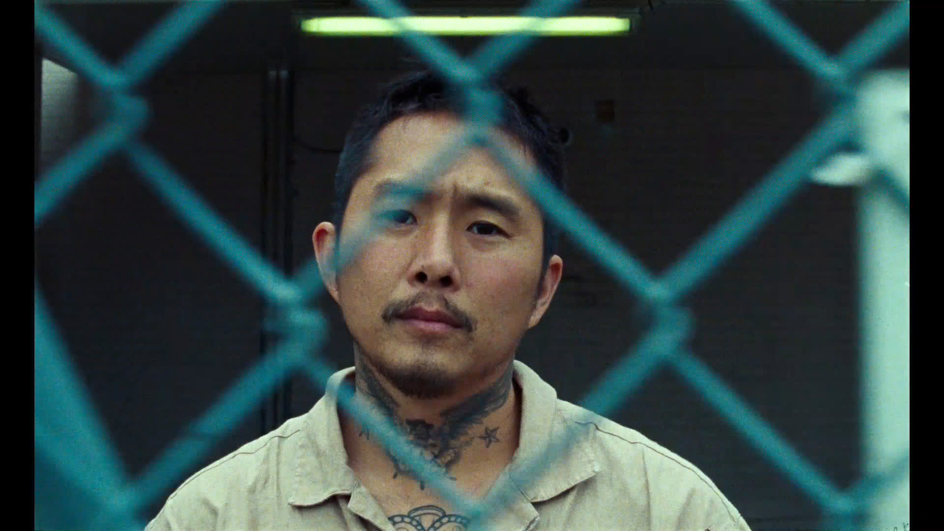 BLUE BAYOU - Aspen Film